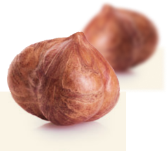 Our Mission: create and deliver value for all | Ferrero HCo