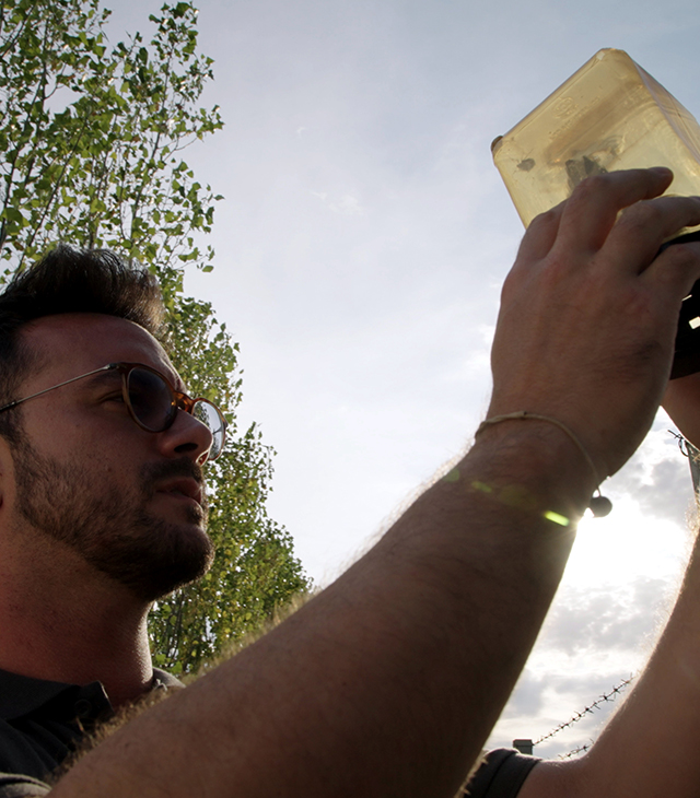 Socially responsible & traceable hazelnut farming: Balkans | Ferrero HCo