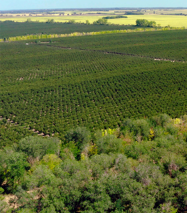 Socially responsible & traceable hazelnut farming: Balkans | Ferrero HCo