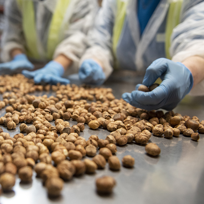 Hazelnut quality | Ferrero HCo